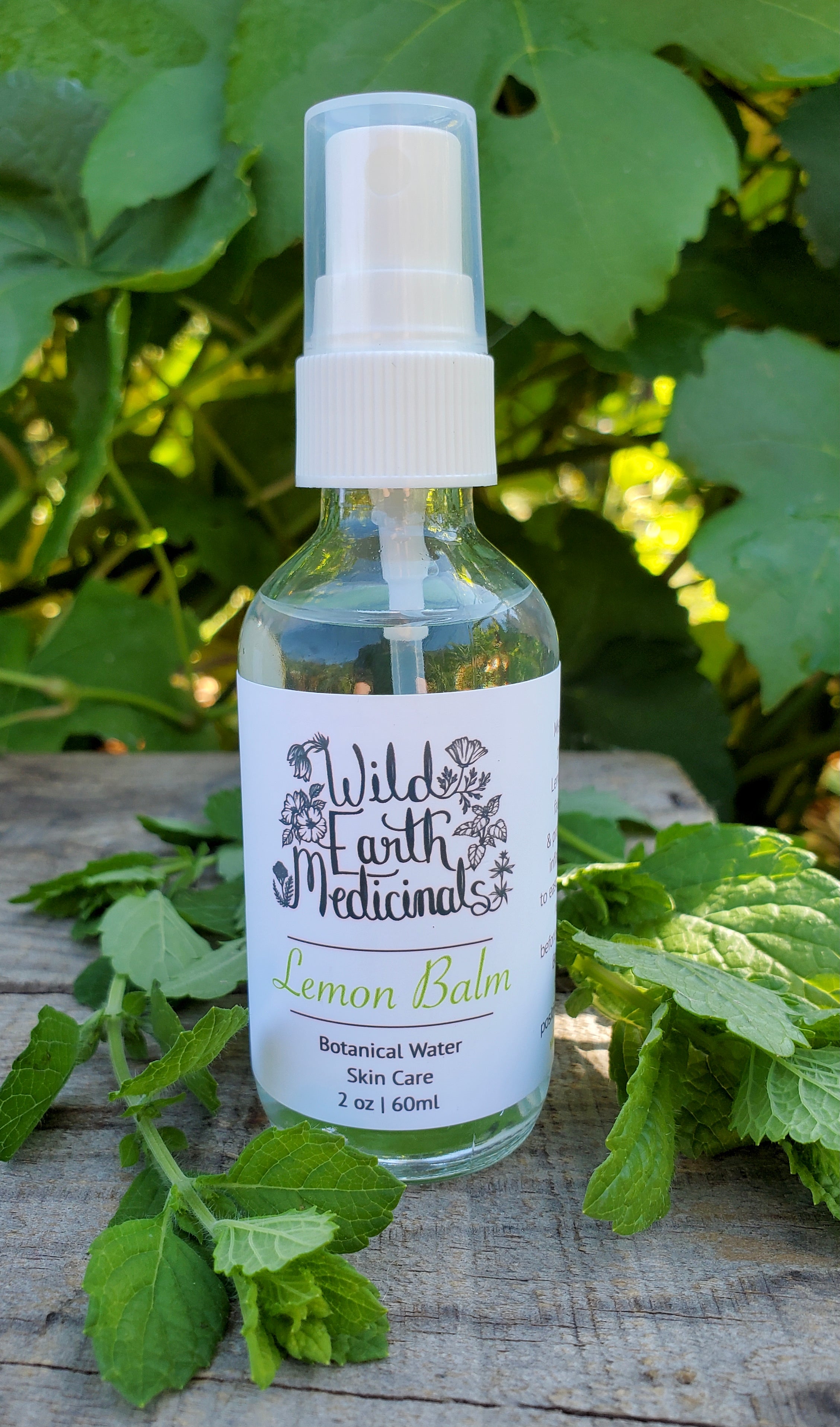 Lemon Balm Hydrosol – Wild Earth Medicinals